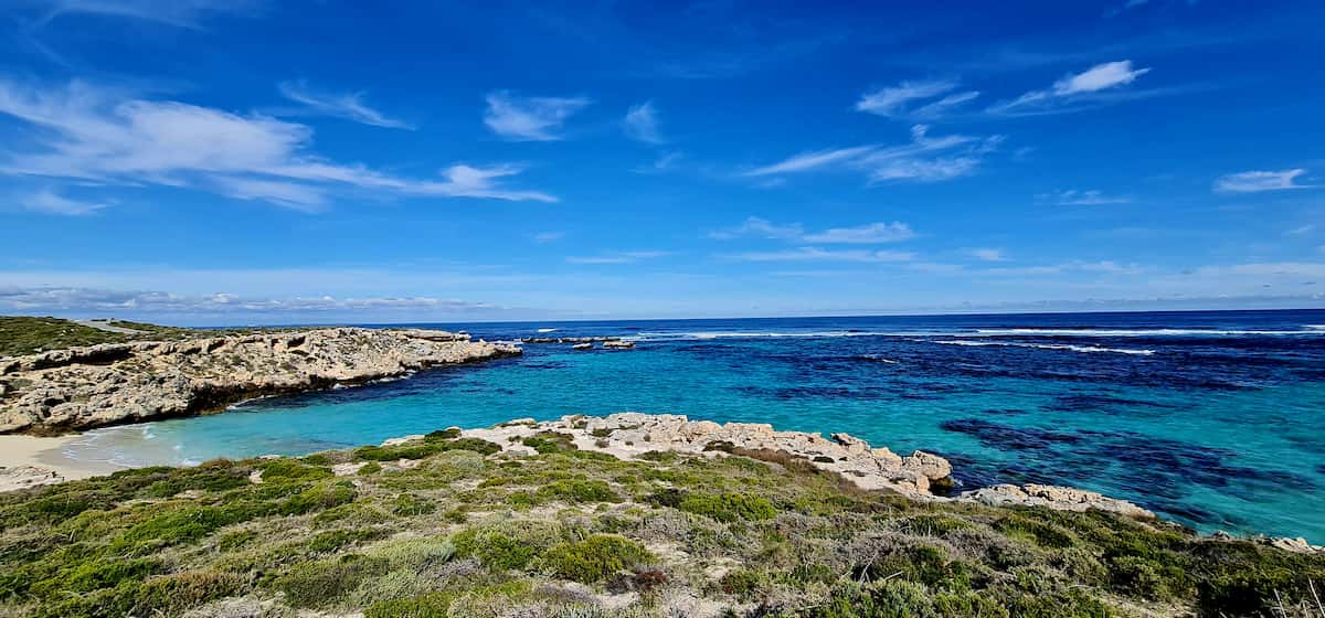 An island that makes everyone who goes there happy Rottnest Island ...